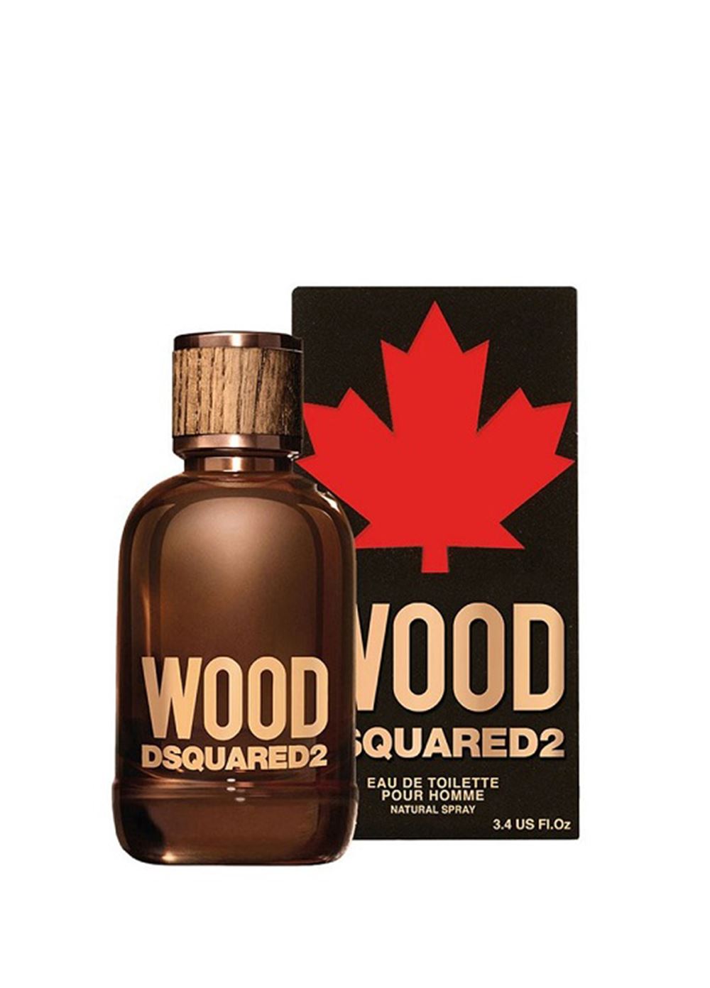Ανδρικό Άρωμα Dsquared2 Wood For Him Eau de Toilette 100ml 1